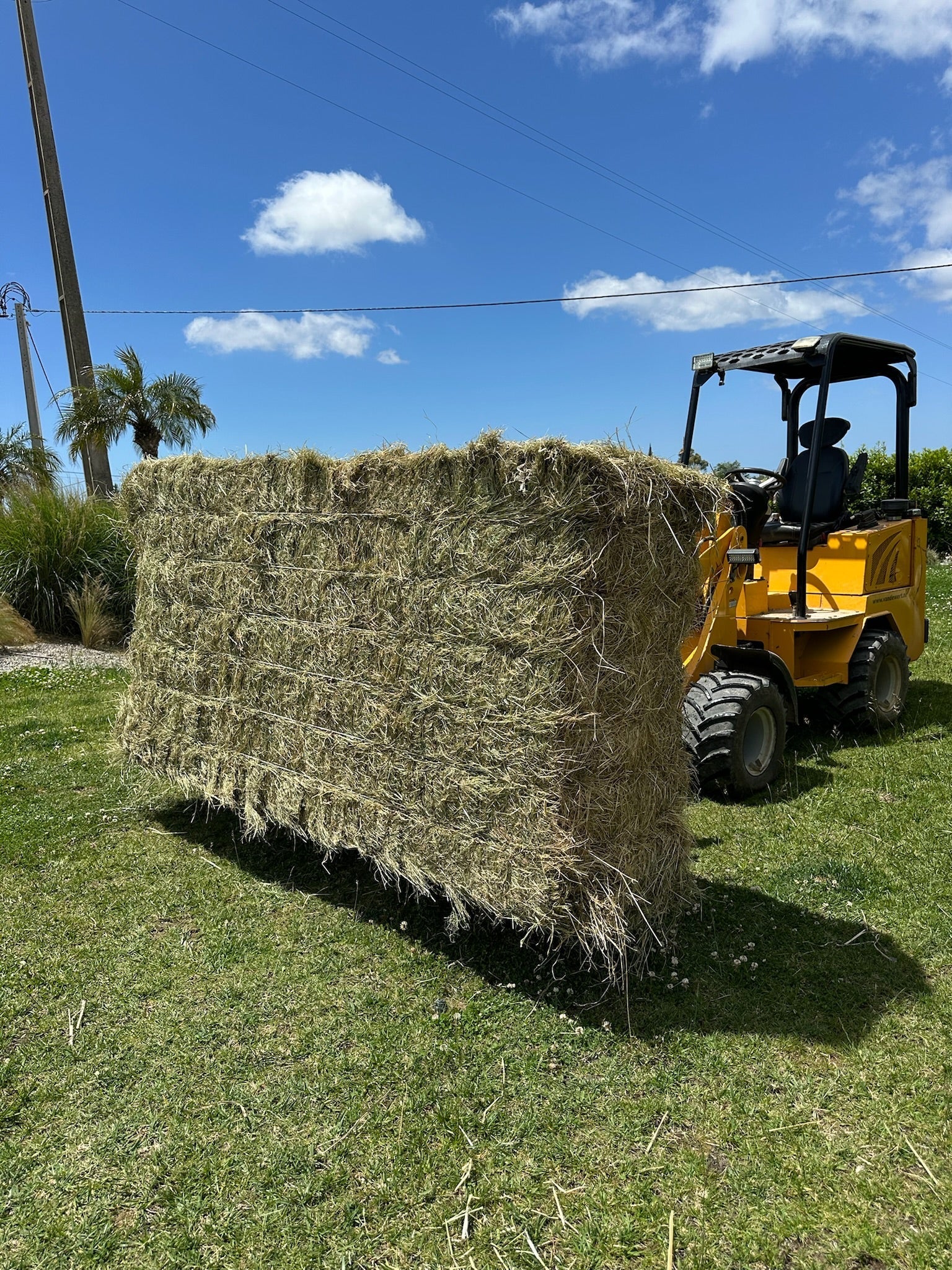 Big Bales Meadow Hay – Prime Hay